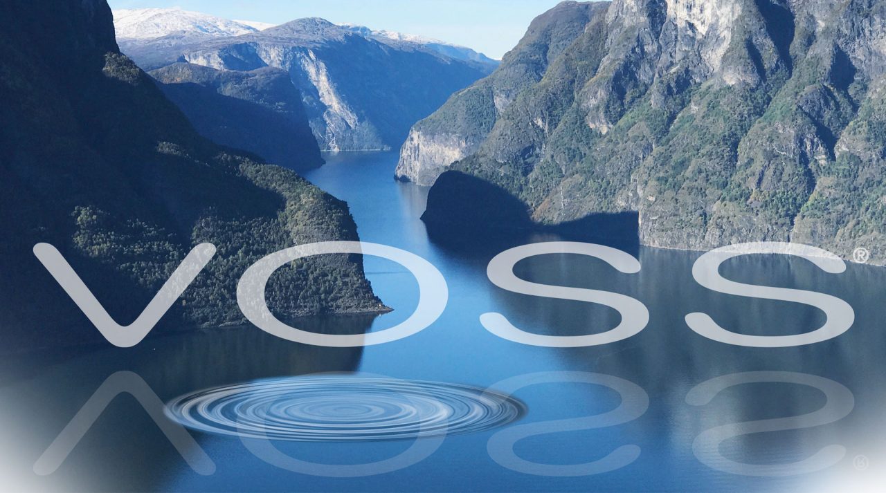 Voss - Girvin | Strategic Branding & Design