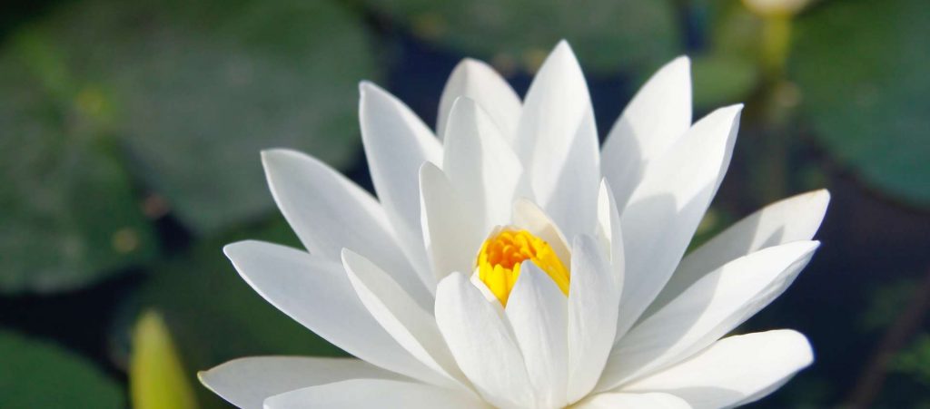 Kavella - Girvin | Strategic Branding & Design